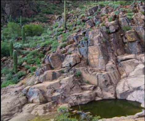 A Seep Spring Known and Pueblos Unknown in the Sonoran Desert